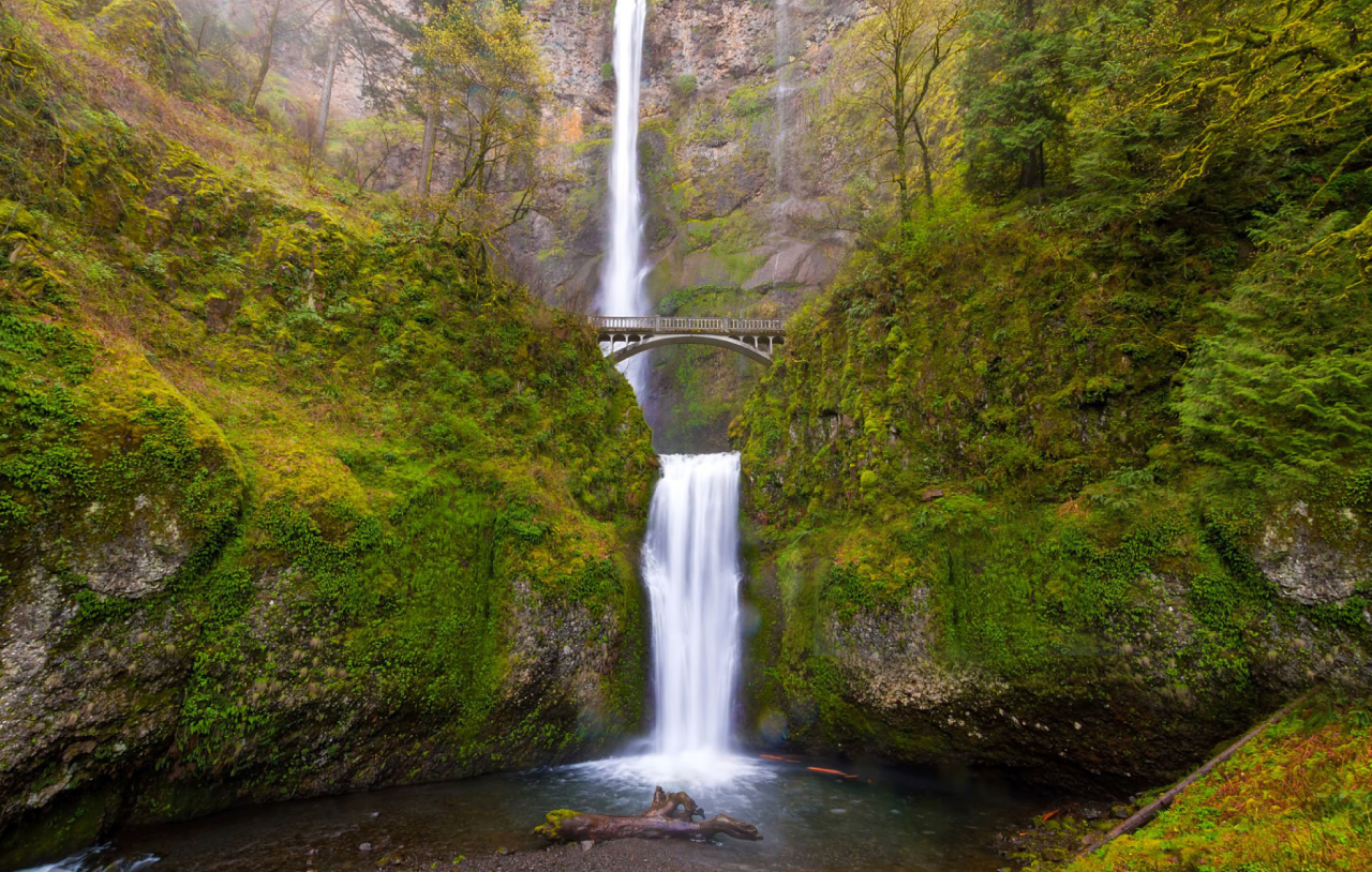 Things to Do in Oregon: Explore the State's Hidden Gems and Natural ...