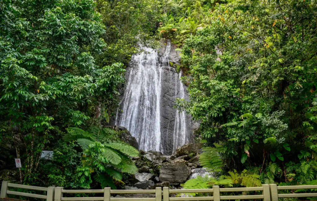 Things to Do in Puerto Rico: A Comprehensive Guide to Explore the ...